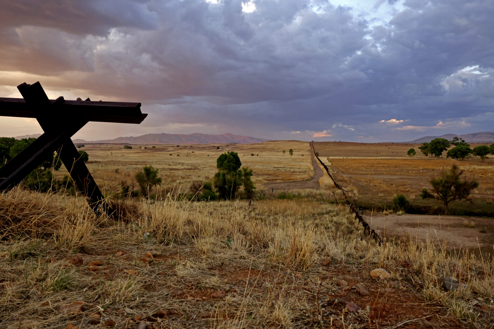 Conservationists protect Arizona wildlife amid border wall construction